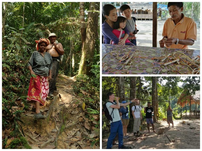 Discover ancient rainforest of Johor - Endau-Rompin - Konexer