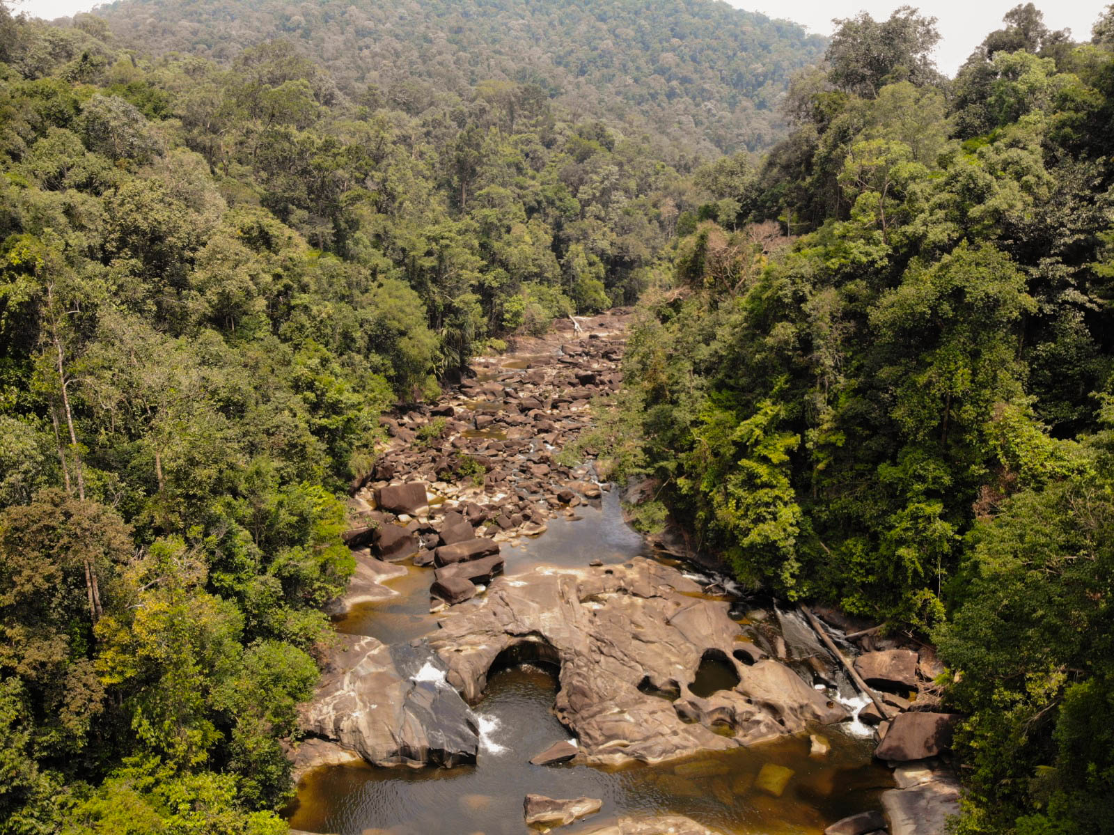 Discover ancient rainforest of Johor - Endau-Rompin - Konexer