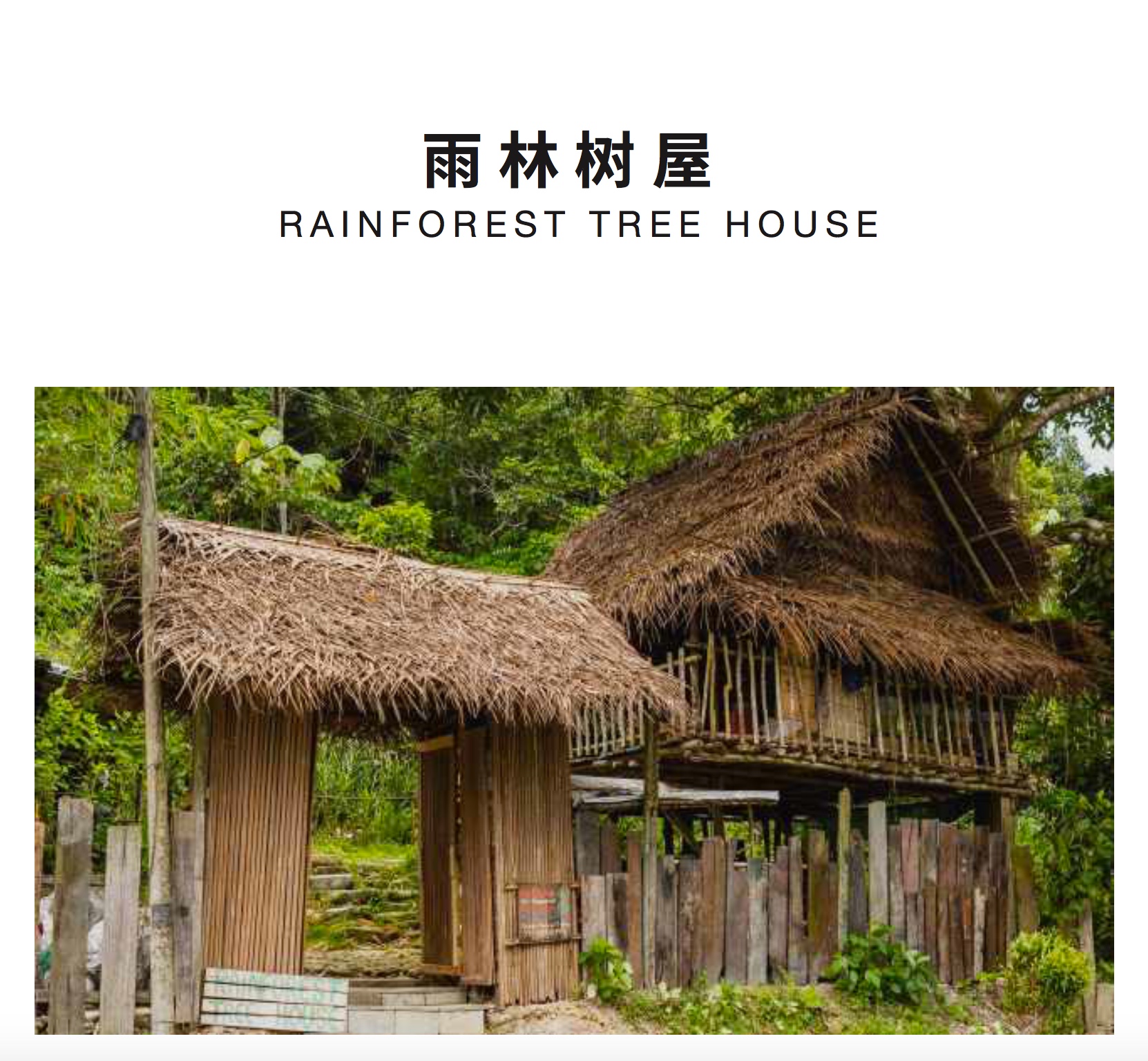 Natural building & education in Pulai - Rainforest Tree House - Konexer